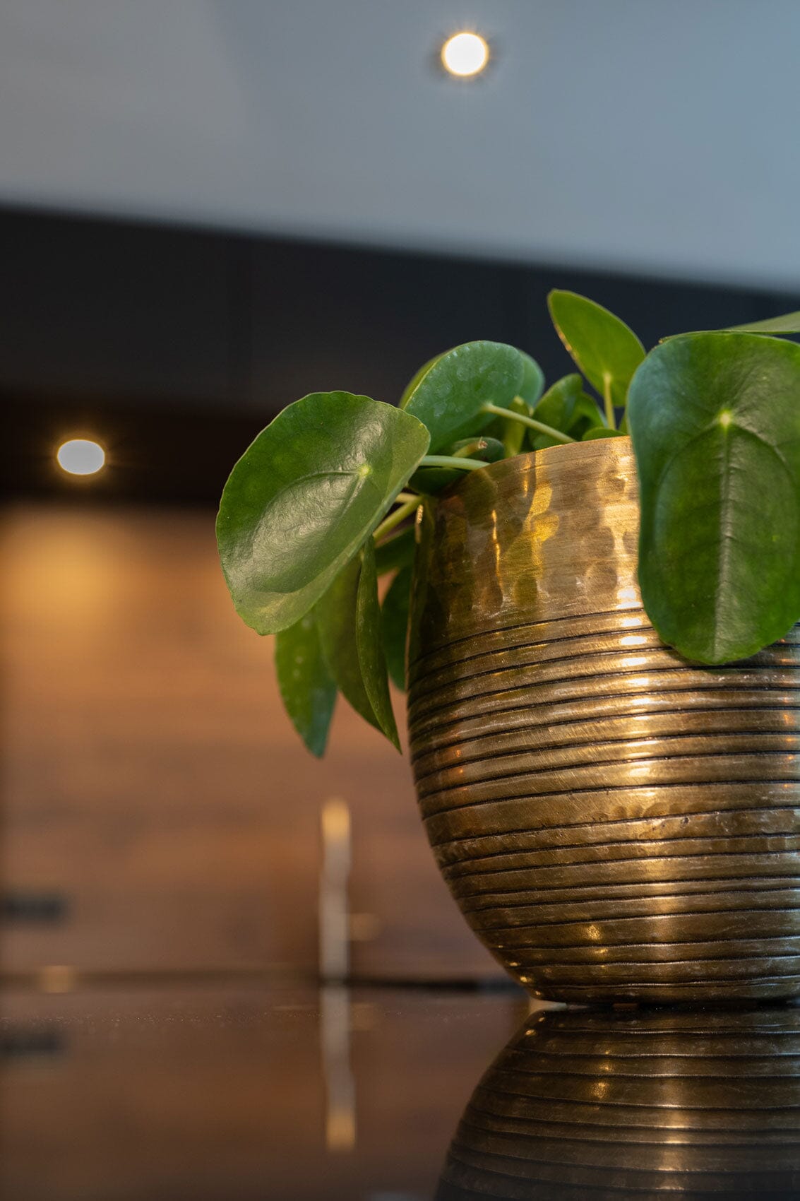 Fabio Metal Plant Pots, Brass Antique – Rebel Plants